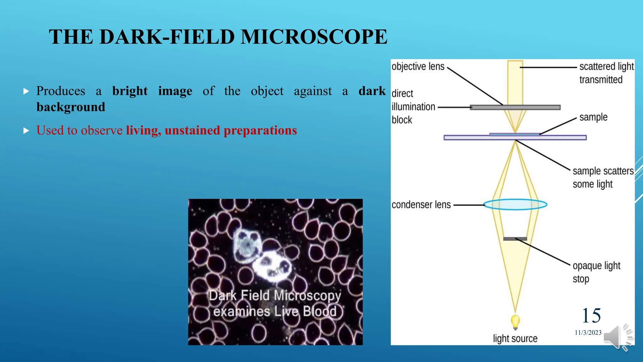 Microscope (1).pptx