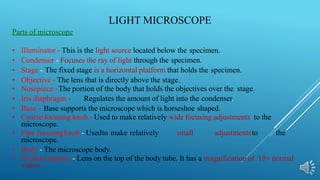Microscope (1).pptx