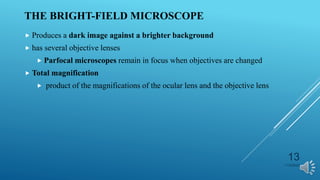 Microscope (1).pptx