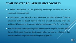 Microscope (1).pptx