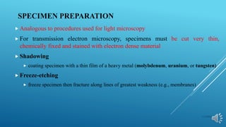 Microscope (1).pptx