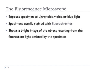 Microscope of ppt for botany major this is a project | PDF