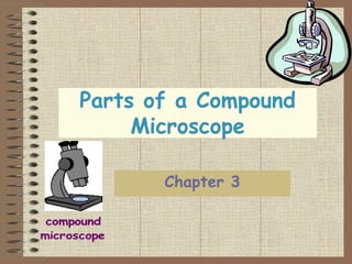 microscope 2.pdf