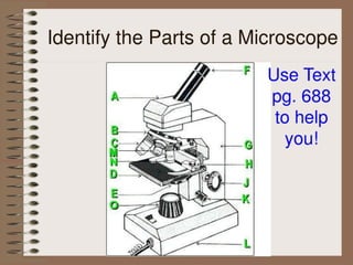 microscope 2.pdf