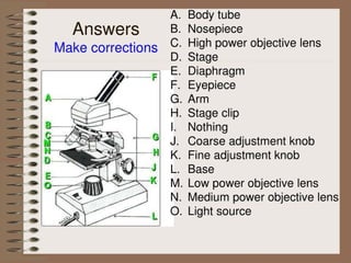 microscope 2.pdf