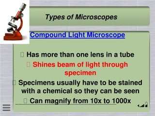 microscope 2.pdf