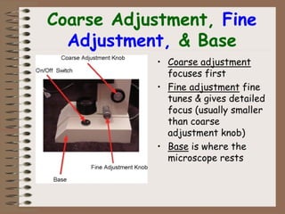 microscope 2.pdf