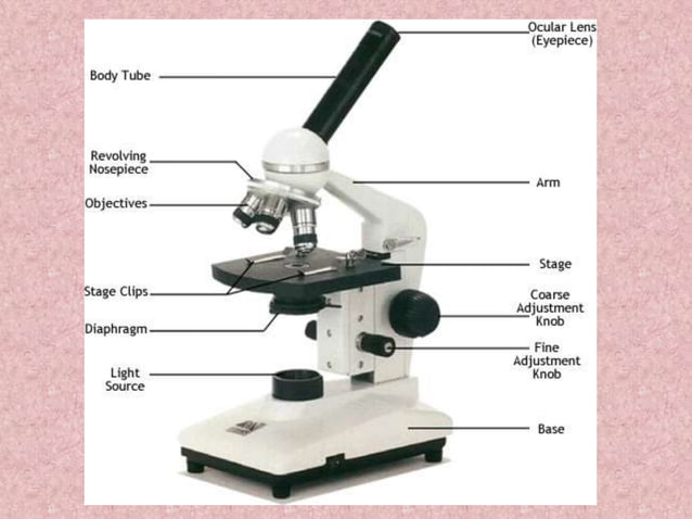 Microscope lecture notes for laboratory).ppt | Photography | Arts and ...