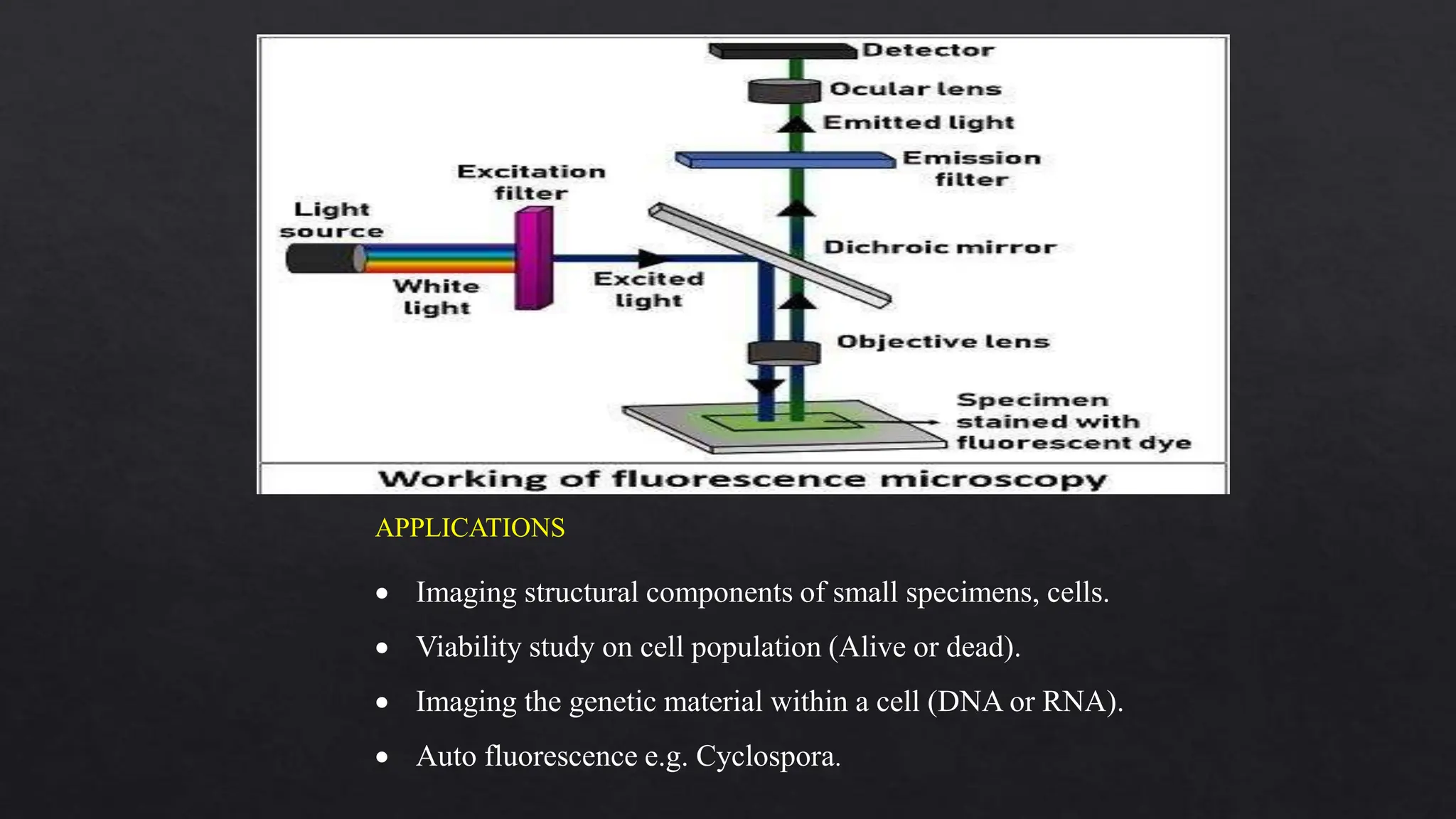 Micrscope and its types. Microbial instrumentation | PPTX