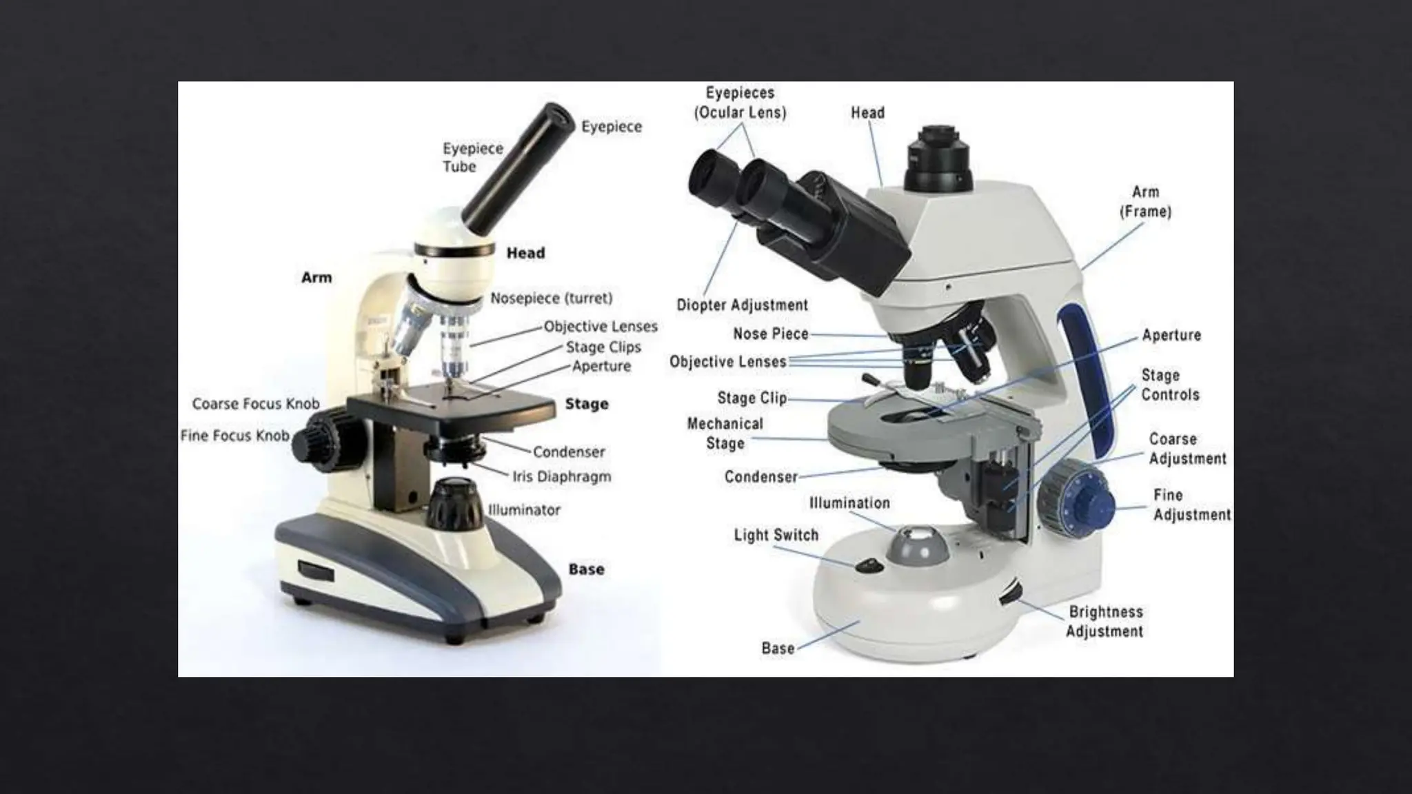 Micrscope and its types. Microbial instrumentation | PPTX