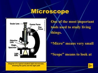MICROSCOPE (3).ppt