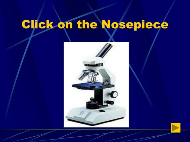 MICROSCOPE (3).ppt