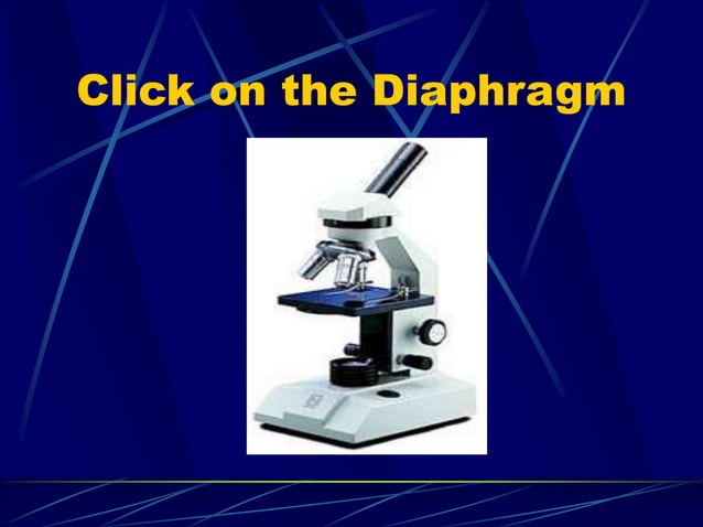 MICROSCOPE (3).ppt