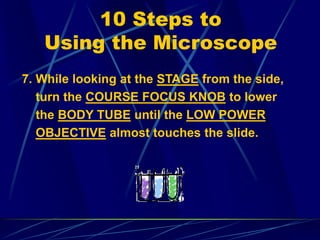 MICROSCOPE (3).ppt