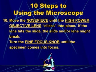MICROSCOPE (3).ppt