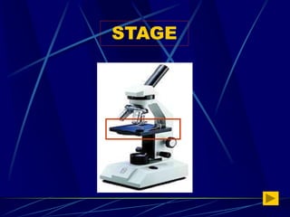 MICROSCOPE (3).ppt