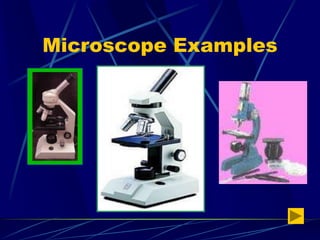 MICROSCOPE (3).ppt
