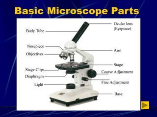 MICROSCOPE (3).ppt