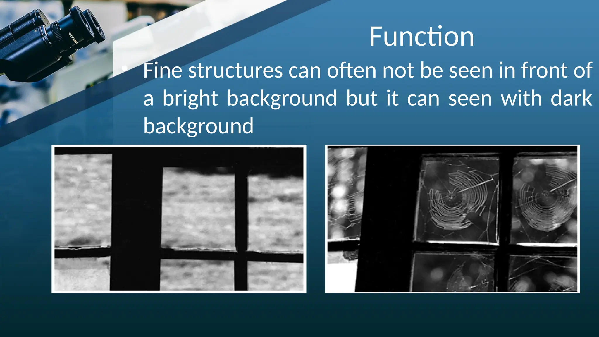 microscope techniques and their precautions.pptx