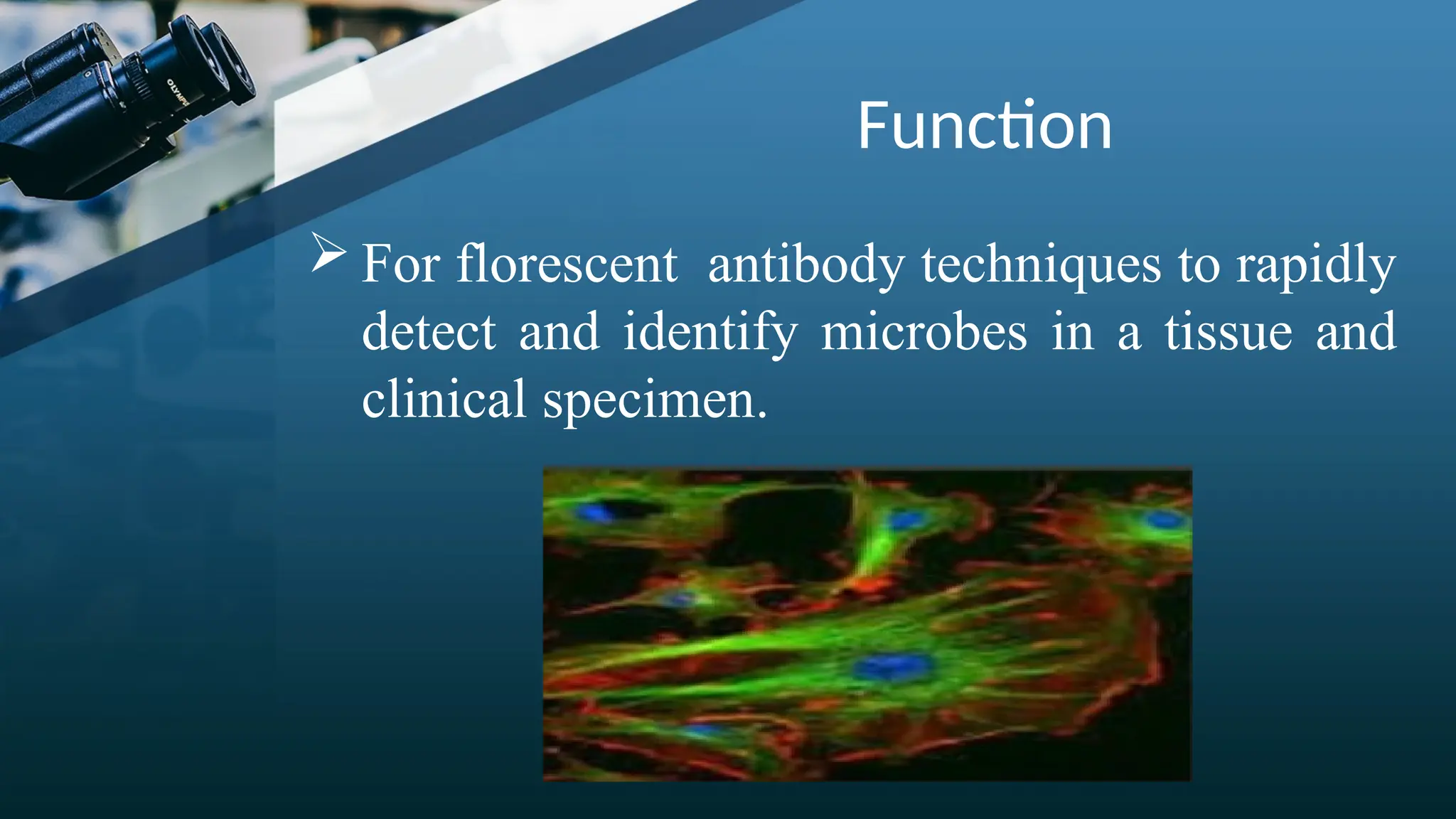 microscope techniques and their precautions.pptx | Free Download