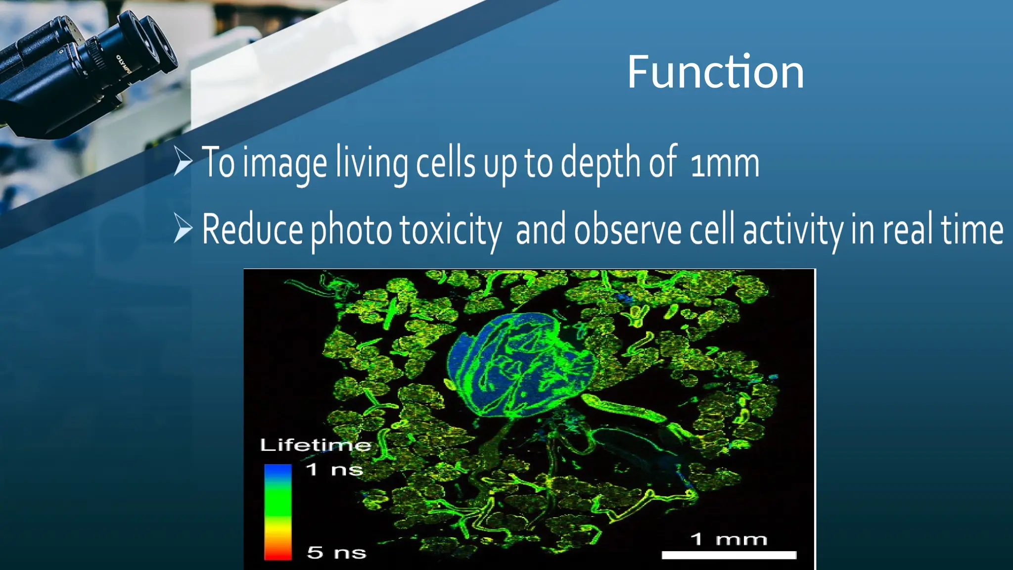 microscope techniques and their precautions.pptx