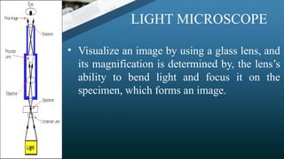 microscope techniques and their precautions.pptx | Free Download