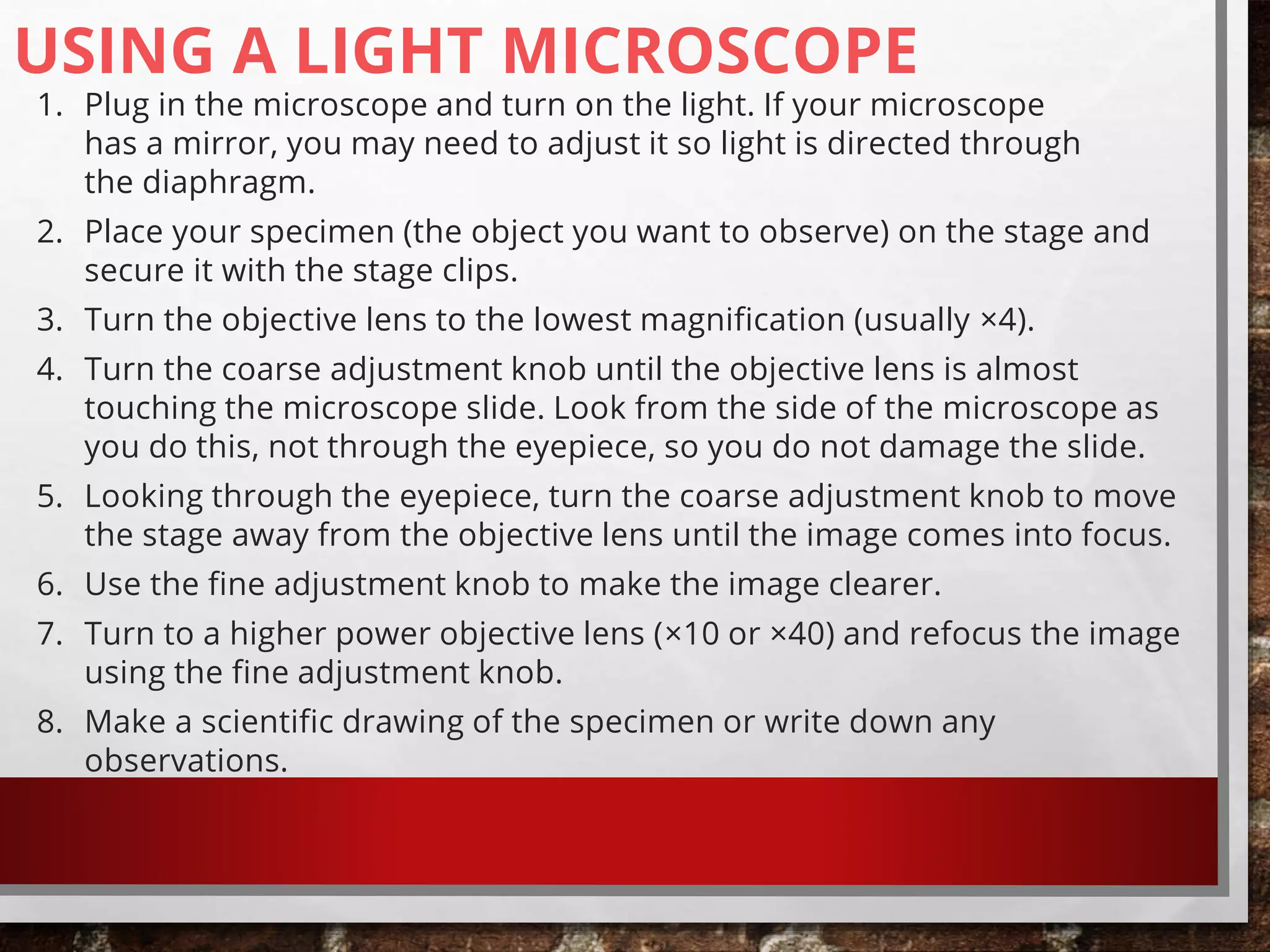 Microscope and Cell Magnification.pptx