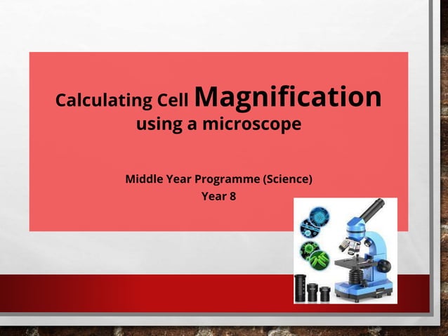 Microscope and Cell Magnification.pptx | Photography | Arts and Crafts