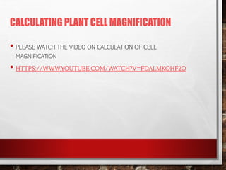 Microscope and Cell Magnification.pptx