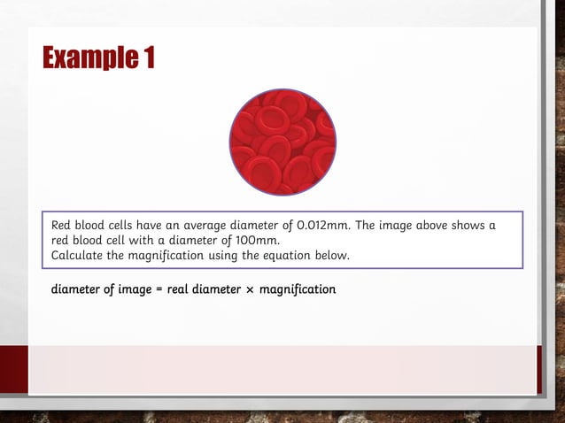 Microscope and Cell Magnification.pptx | Photography | Arts and Crafts