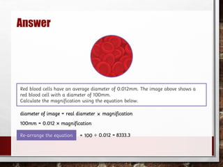 Microscope and Cell Magnification.pptx