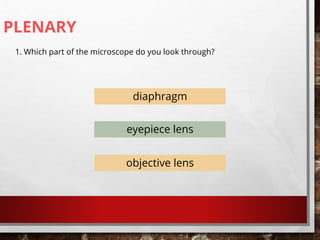 Microscope and Cell Magnification.pptx