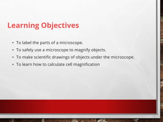 Microscope and Cell Magnification.pptx