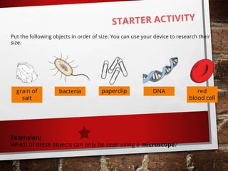 Microscope and Cell Magnification.pptx | Photography | Arts and Crafts