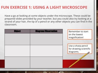 Microscope and Cell Magnification.pptx