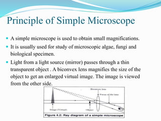 Microscope and its types | PPTX