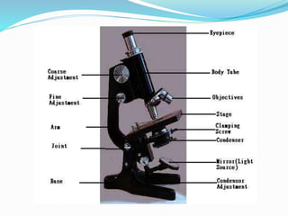 Microscope and its types | PPTX