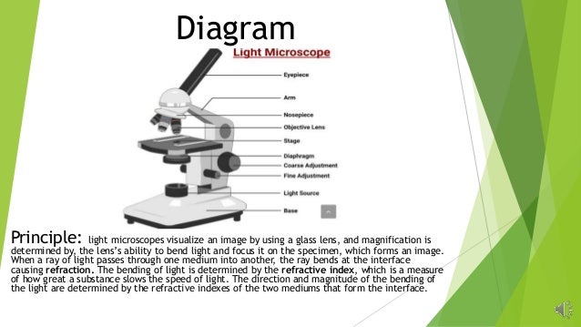 Microscope and its types | PPTX