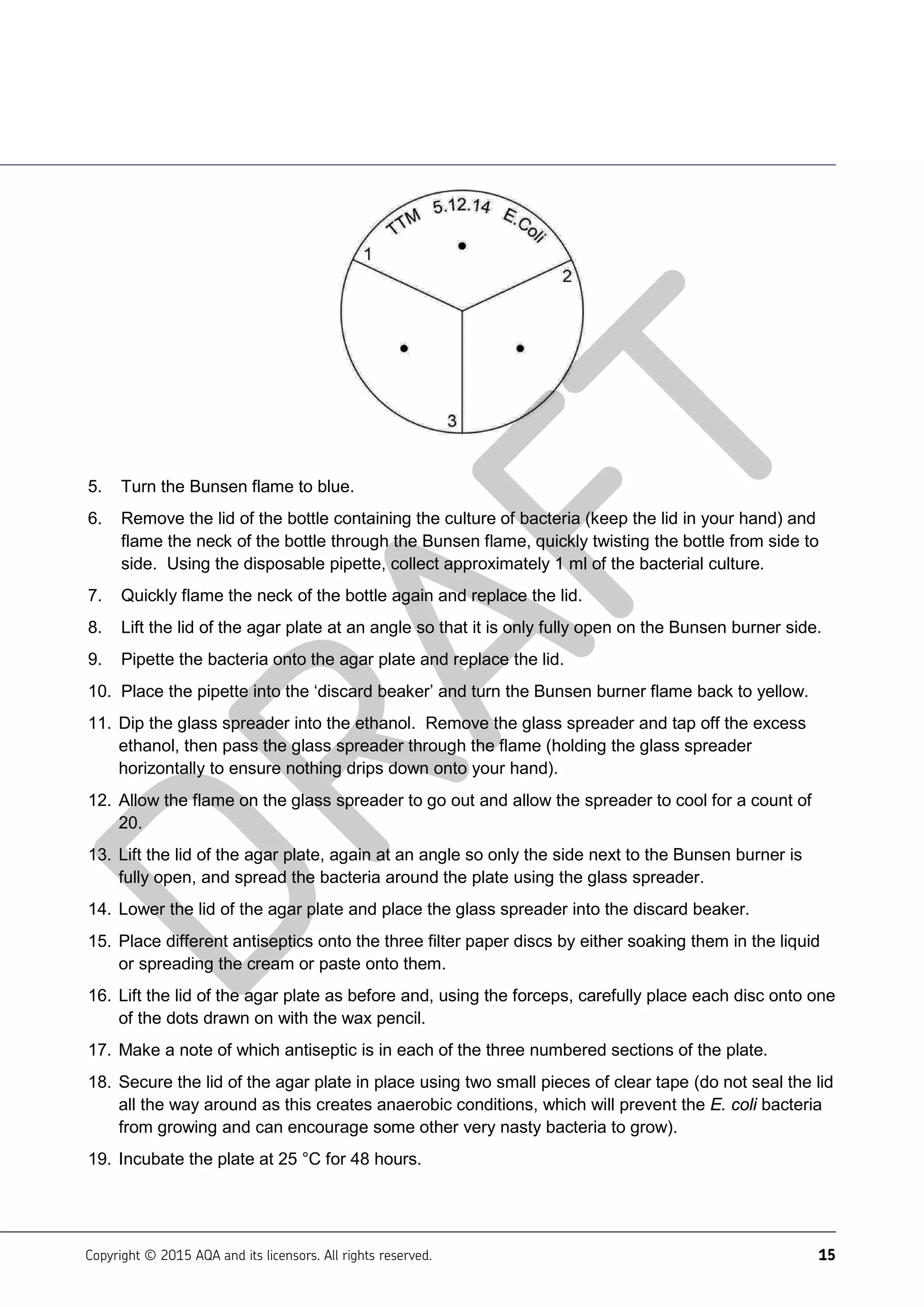 Require Practical Activities - Microscopy - Plant cell practical ...