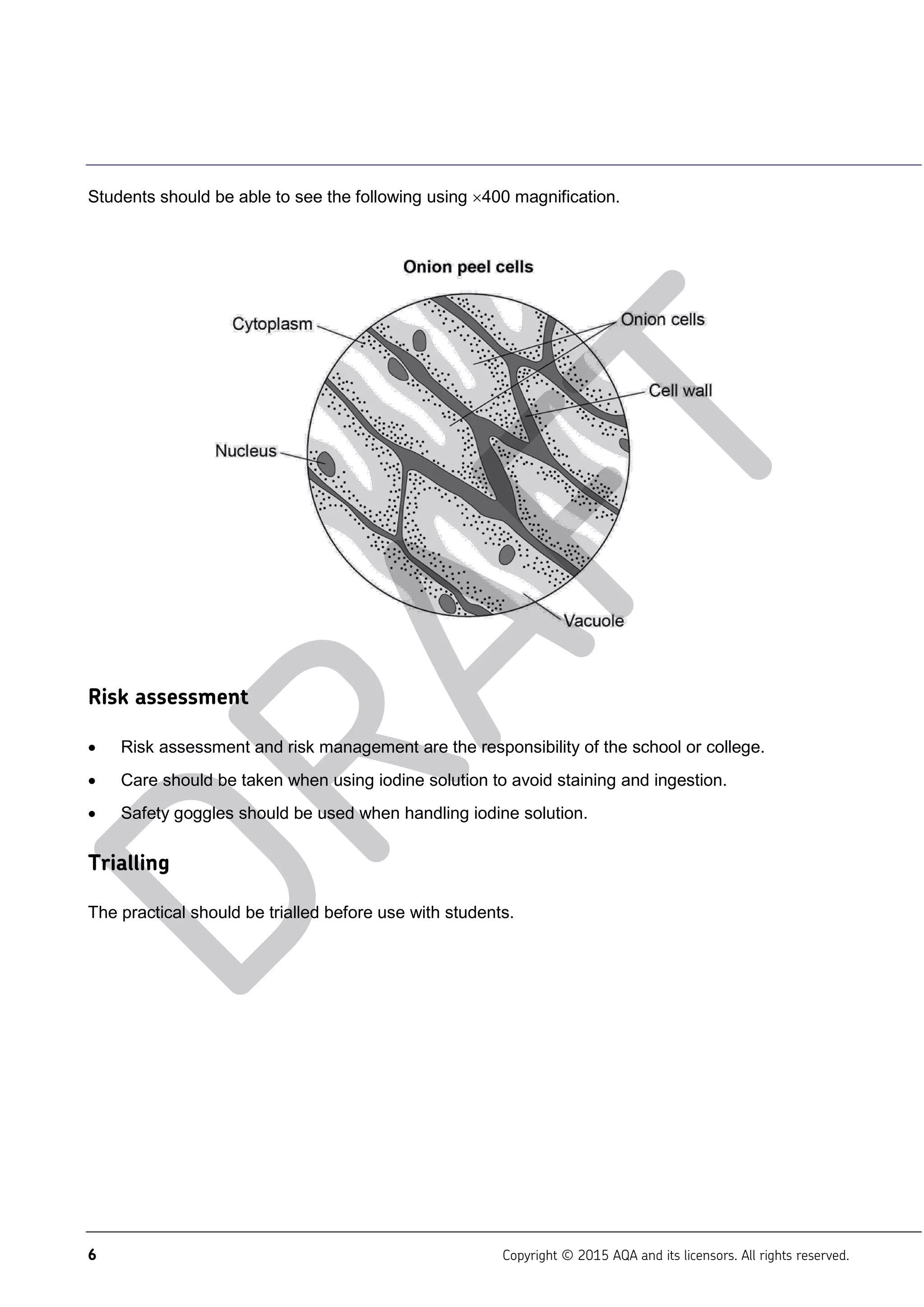 Require Practical Activities - Microscopy - Plant cell practical ...
