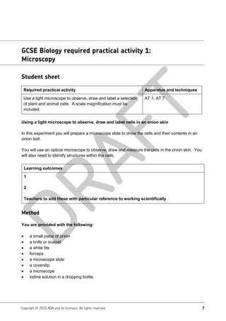 Require Practical Activities - Microscopy - Plant cell practical ...