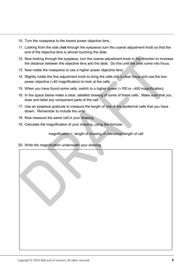Require Practical Activities - Microscopy - Plant cell practical ...