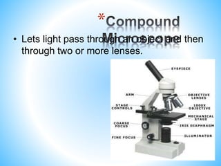 Light Microscope and types | PPTX