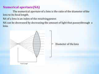 Light Microscope and types | PPTX