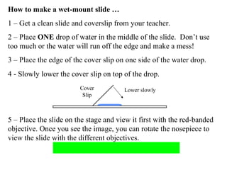 Microscope Basics | PPT