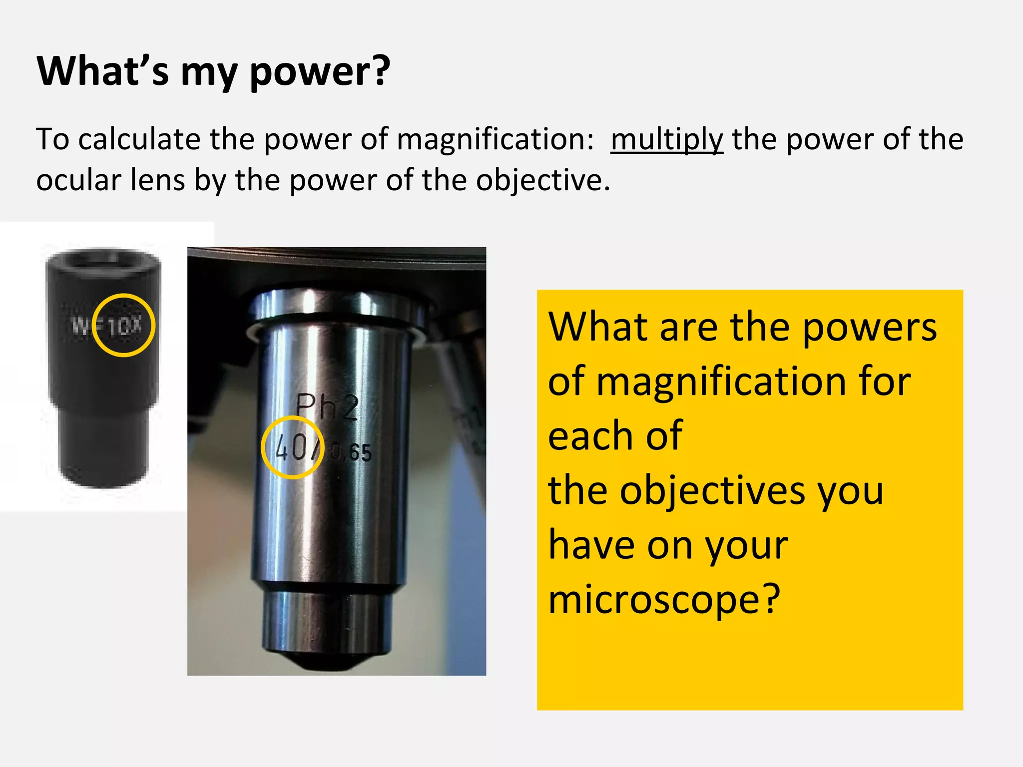 Microscope basics | PPT