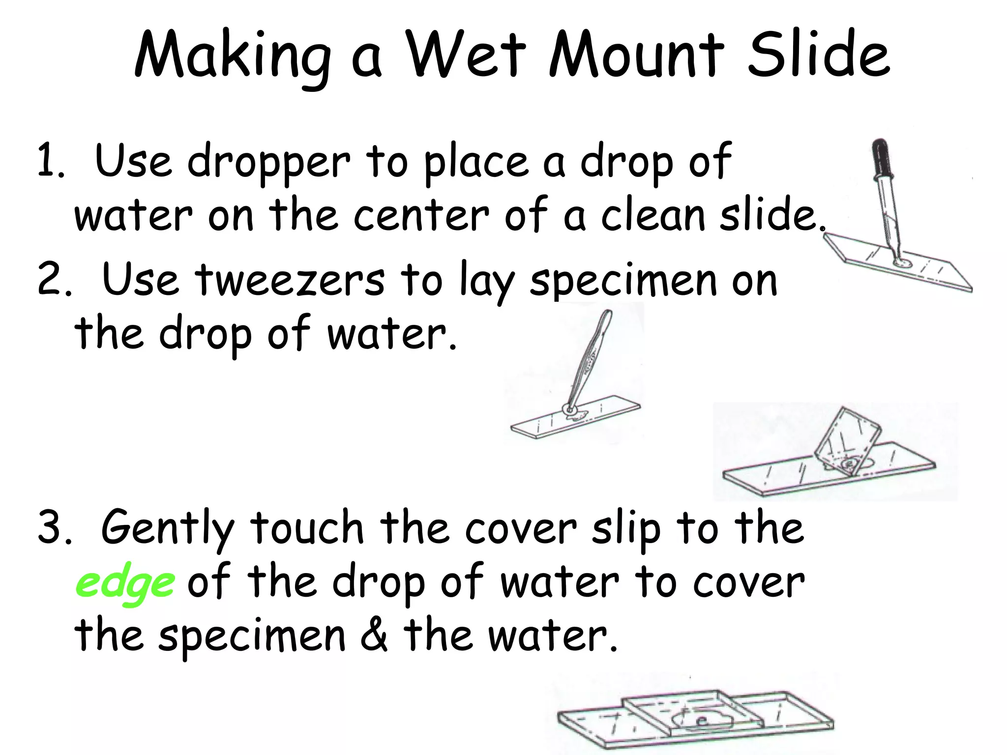 Microscope basics | PPT | Photography | Arts and Crafts