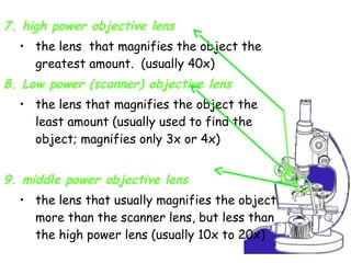 Microscope basics | PPT | Photography | Arts and Crafts