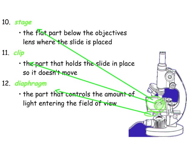 Microscope basics | PPT