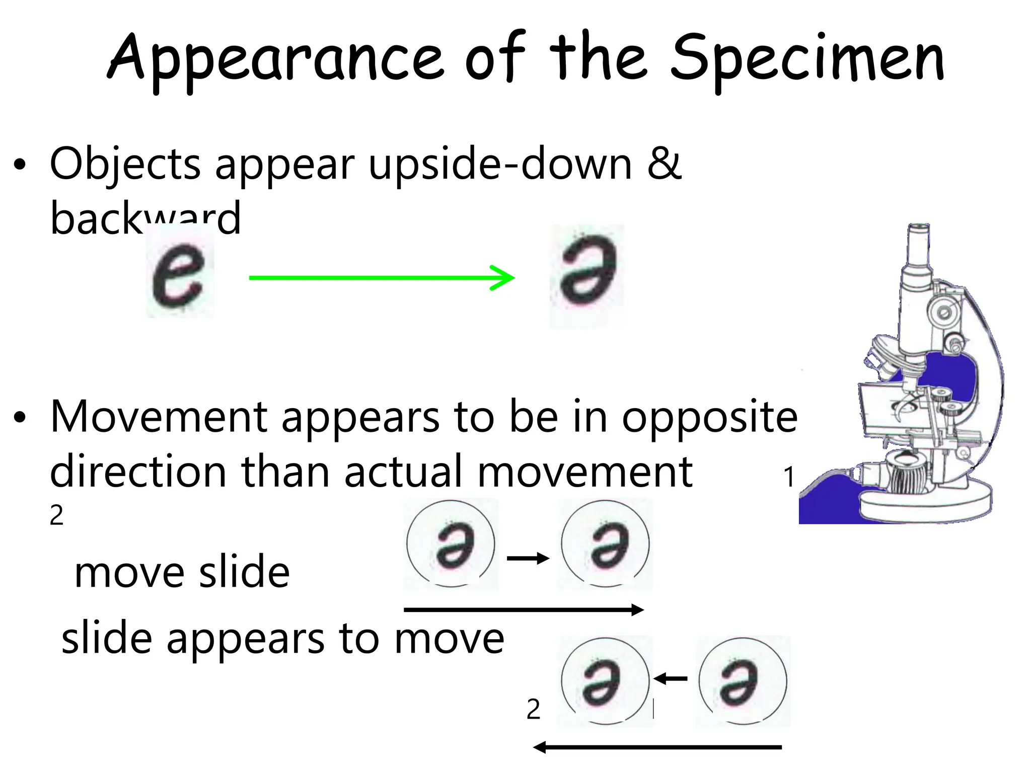 microscope basics - definition and Functions.ppt
